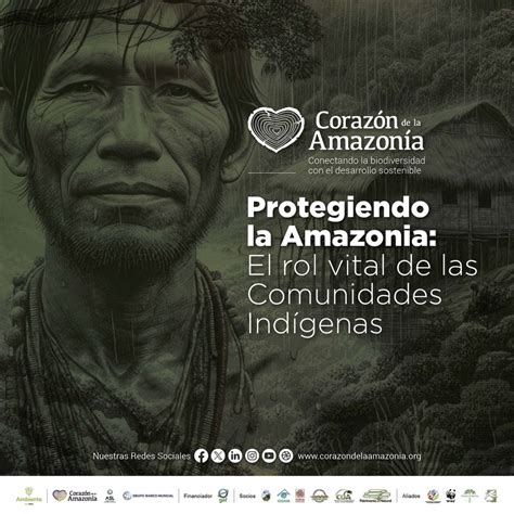 Protegiendo La Ra Z Y La Herencia Inkal Aw Patrimonio Natural