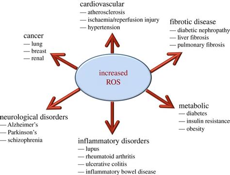Ros Involvement In Disease Pathogenesis Schematic Of The Involvement