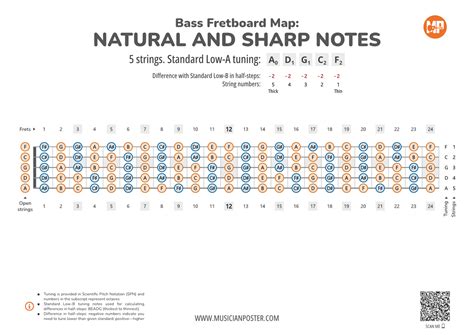 5 String Bass Neck Map With All Notes In A Standard Tuning