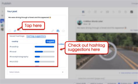 Tiktok Creator Fund Faqs Step By Step Guide Tips Vista Social