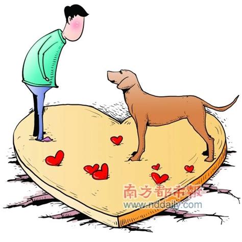 偷狗人的下場與被偷狗狗的下場 每日頭條