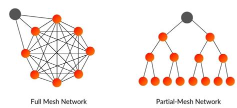 Mesh Topology The Complexities Of Interconnected Networks Lavishdiaries Com