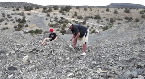 Fossil Hunters Out On The Trail