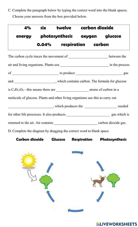 Free Carbon Cycle Worksheet High School Download Free Carbon Cycle