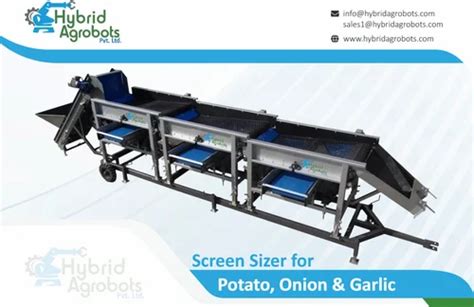 Automatic ONION GRADING AND SORTING MACHINE At Best Price In Sas Nagar ID 2850707492155