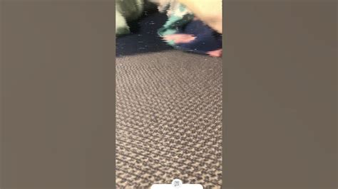 Hebbie Jebbies Vhs Series Episode 1 €£€£££€¥€€ Youtube