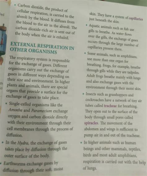 Carbon Dioxide The Product Of Cellular Respiration Is Carried To The