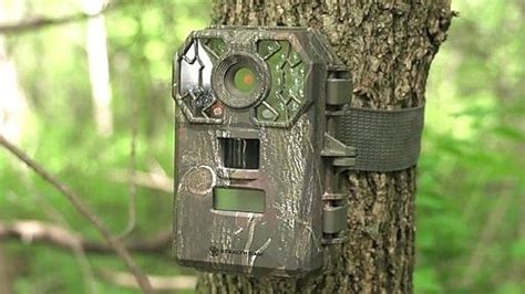 Best Trail Cameras To Capture Wildlife Photos Ifttt2o3v6tk Wildlife Photos Outdoor