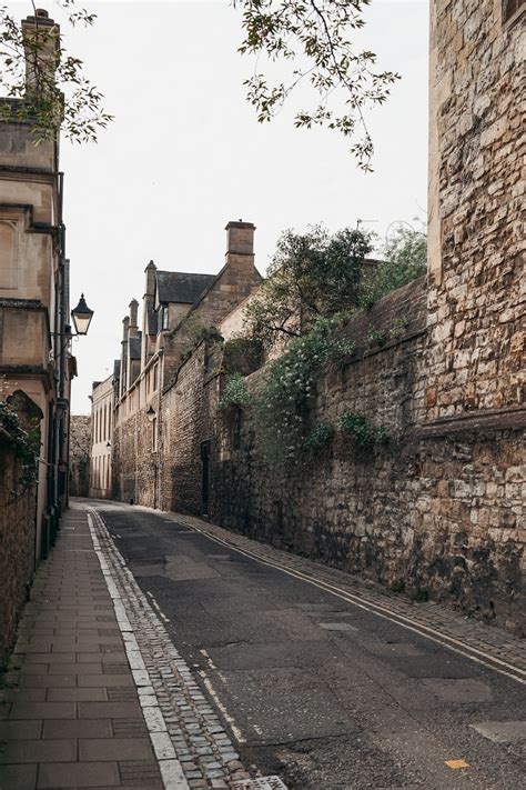 낮 동안 녹색과 갈색 콘크리트 주택 사이의 회색 콘크리트 도로 사진 Unsplash의 무료 거리 이미지