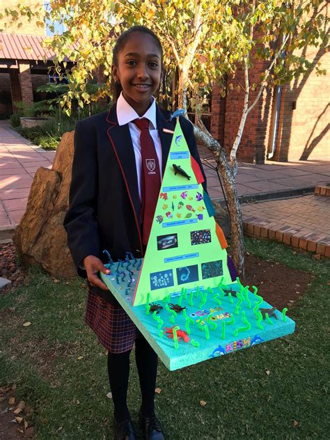 Grade Sevens Had Fun Designing And St Martins School
