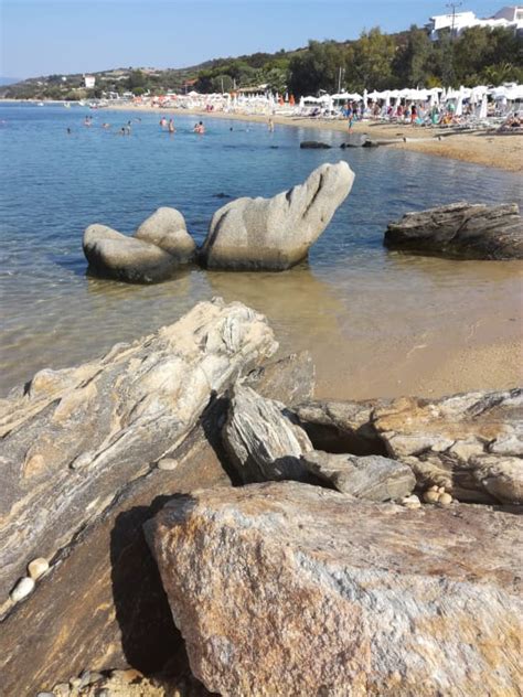 "Strand" Akrathos Beach Hotel (Ouranoupolis) • HolidayCheck (Chalkidiki ...