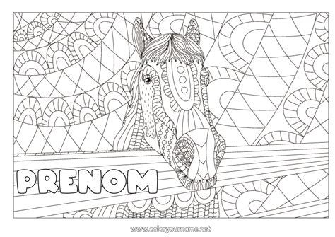 Coloriage N°1784 Mandala Cheval Animal