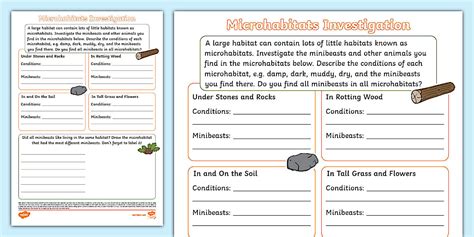 Microhabitats Investigation Worksheet Teacher Made