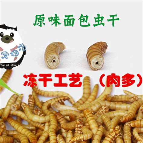 迷你刺猬面包虫干零食大麦虫仓鼠饲料蜜袋鼯睡鼠金丝熊用主粮零食 虎窝淘