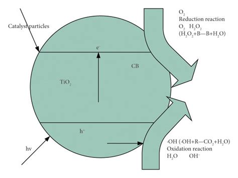 Schematic Diagram Of The Photocatalytic Mechanism Of TiO2 Download Scientific Diagram