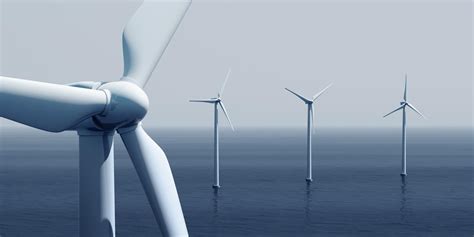 Offshore Wind Farms Could Become Stopover Points For Migrating Fish