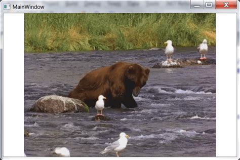 מדריך Wpf הצגת תמונה וקטע וידאו • וובמאסטר