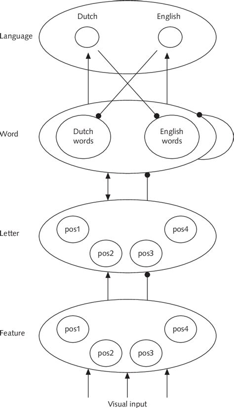 Figure 51 From Cognitive Processes In Second Language Learners And Bilinguals The Development