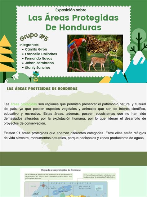 Las Áreas Protegidas De Honduras Grupo 5 Pdf