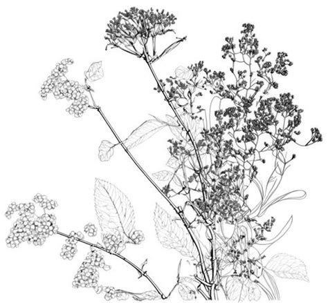 Flourish In Recovery Lantana Wellness Center