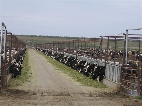 Organiceye An Eminently Qualified Organic Industry Watchdog