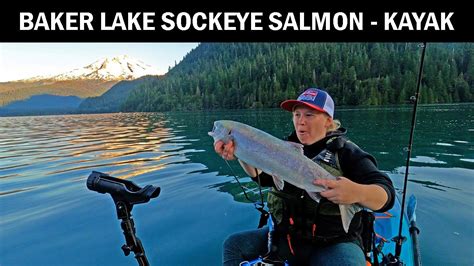 Baker Lake Sockeye Salmon Fishing Seawolf Fishing