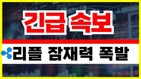 리플 Xrp 리플이 드디어 터진다 폭발 예고 리플 리플전망 리플속보 코인 코인전망 코인추천 Youtube
