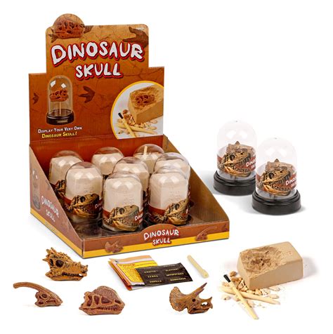 Dinosaur Skull China Dinosaur Skull Manufacturers Suppliers Factory