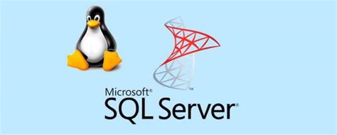 Microsoft Lanzo Una Rc De Sql Server Para Linux Linux Os Net