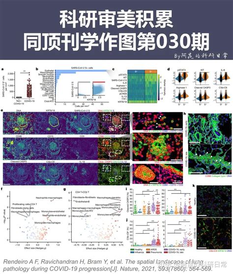 看好了巨人的力量是这样用的科研审美积累第30期 知乎