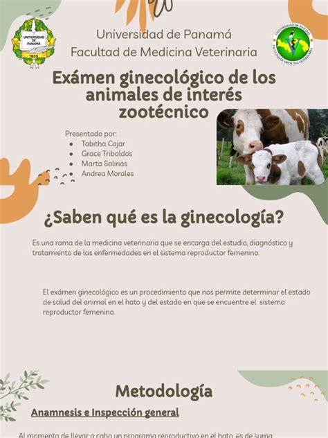 Clase De Repro Tema 2 Pdf Ovario Sistema Reproductivo
