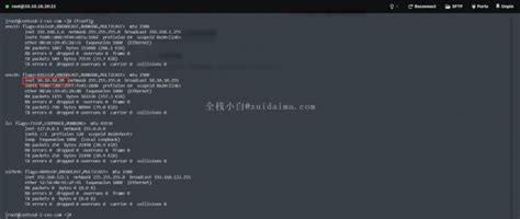 Mysql主从复制搭建 博客 最代码