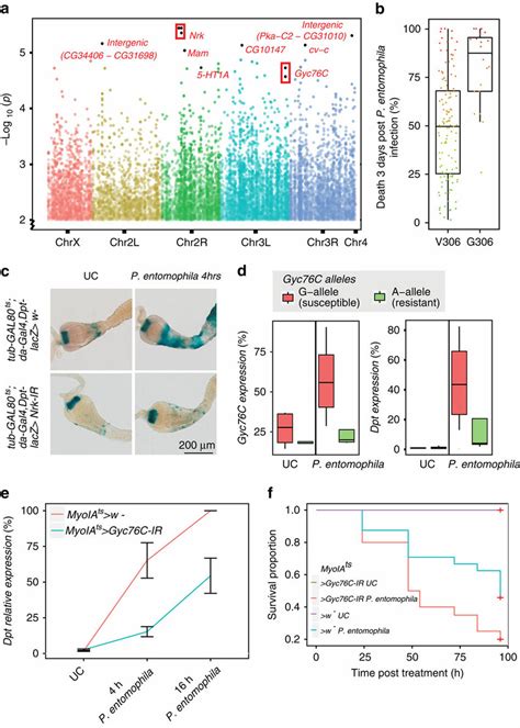 Gwas Reveals Genetic Loci Underlying Susceptibility To Infection A