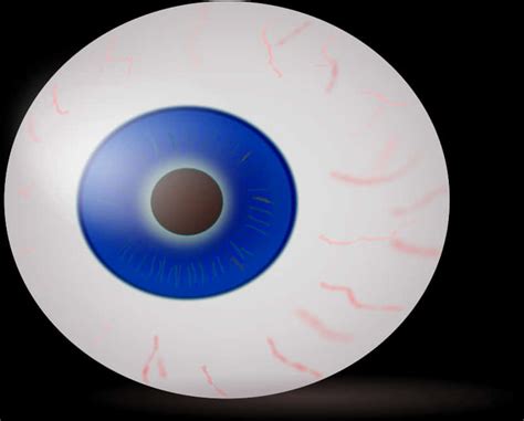 Download Human Eyeball Illustration