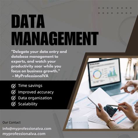 Optimizing Data Entry And Database Management For Business Efficiency Data Angelica Aquino