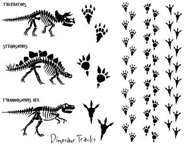 Reptossaurus Anatomia e evolução dos Dinossauros Parte II