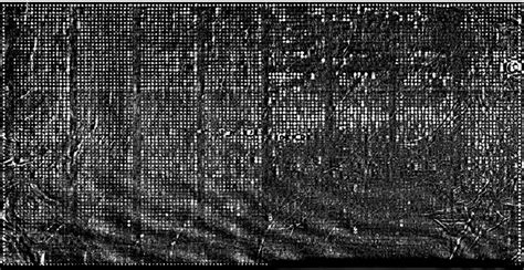 The Oi Rd Image Of A 6 000 Small Molecule Compound Microarray From Oboc Download Scientific