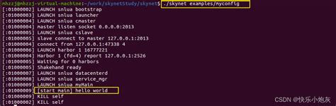 Skynet学习笔记01— Skynet开发环境搭建（超详细）与第一个skynet程序 Csdn博客