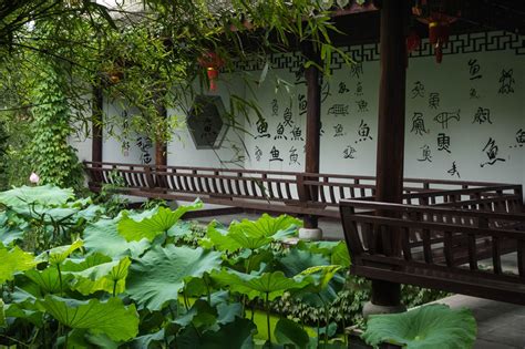 湖州荻港鱼莊1摄影图片风光摄影 形形色色 太平洋电脑网摄影部落