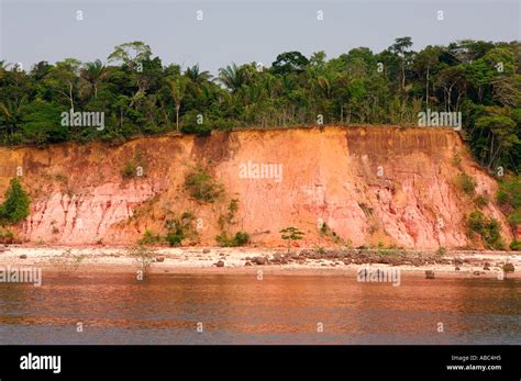 Soil Profile Laterite Soil Under Tropical Rain Forest South America