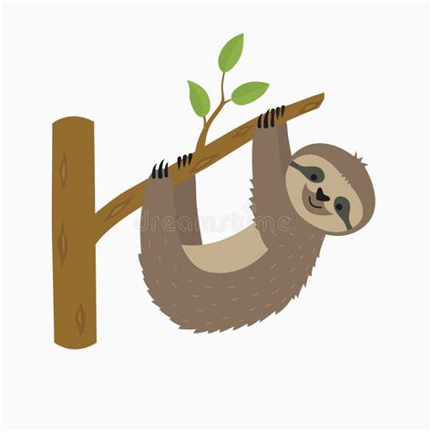 Sloth Hanging Tree Branch Stock Illustrations 1202 Sloth Hanging