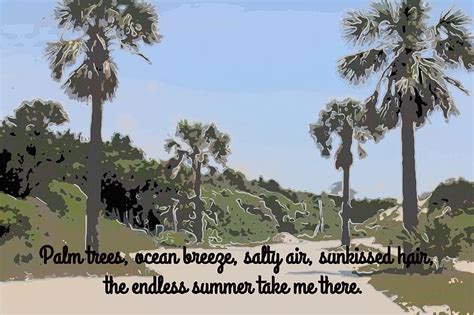 Palm Trees Ocean Breezesalty Airsunkissed Hairthe Endless Summer