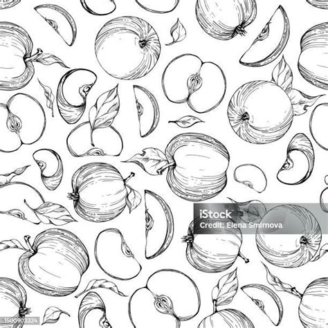 손으로 그린 잉크 사과 과일 잘 익은 꽉 찬 조각 단색 벡터 나뭇잎이 있는 자세한 윤곽선 원활한 패턴 흰색 배경에 격리되어 있습니다 벽 예술 결혼식 인쇄 직물 카드를 위한