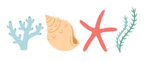 Seashell Illustration Element Set Vector Seashell Illustration