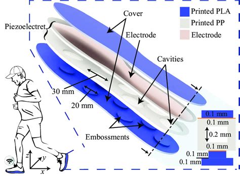 Schematic Representation Of The Smart Insole Embedded In A Person