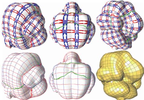 Omotondo Model With A Simple Singularity Graph A Quad Mesh Following