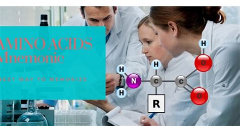 Amino Acids Mnemonics Easy Way To Memorize Mdcat Guide