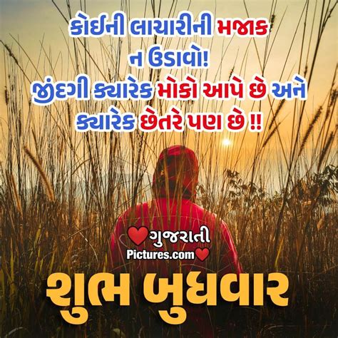 Shubh Budhwar Gujarati Status Gujarati Pictures Website Dedicated