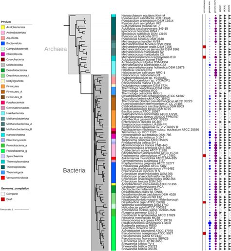 微生物宏基因组学第二代和第三代测序平台的基准测试scientific Data X Mol