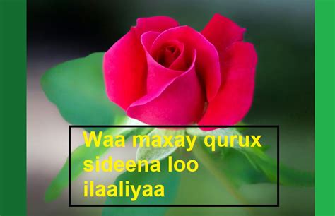 Waa Maxay Qurux Sideena Loo Ilaaliyaa Daruur